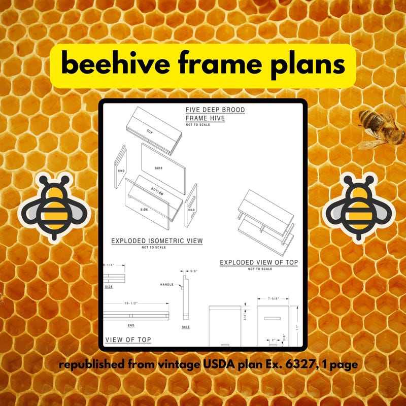 Bee Hive Plans - Etsy