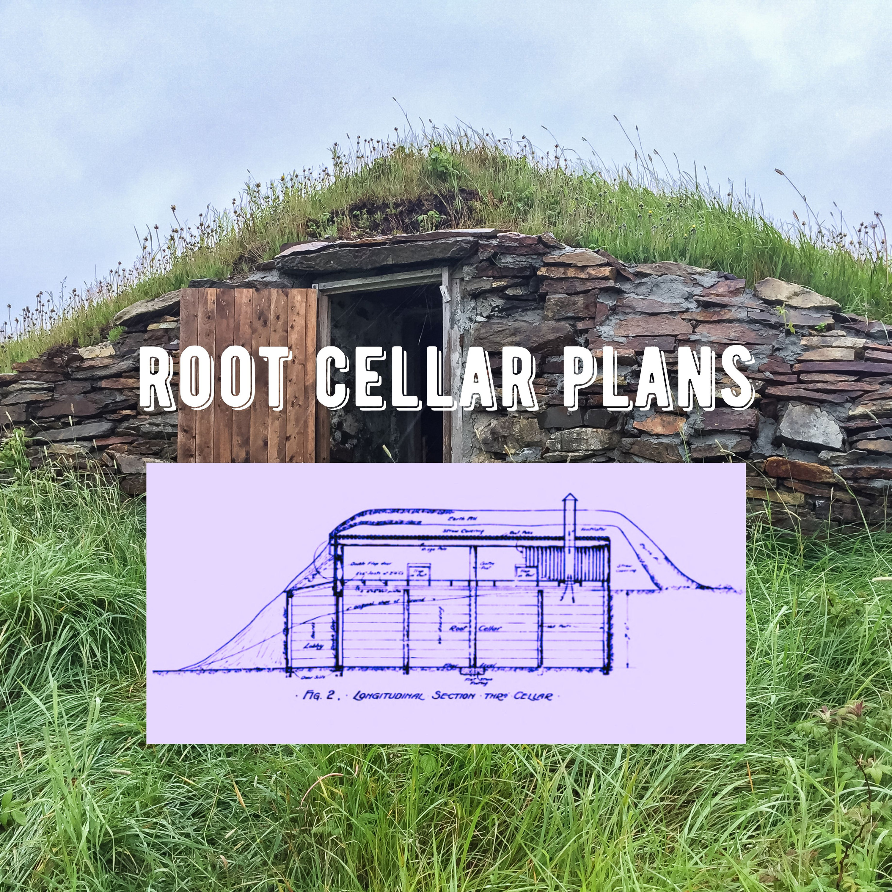 Underground Root Cellar Plans