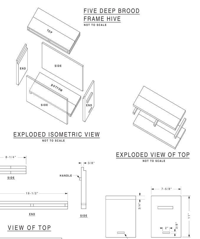 Vintage Beehive Frame Plans (downloadable PDF File, 1-page, Republished ...