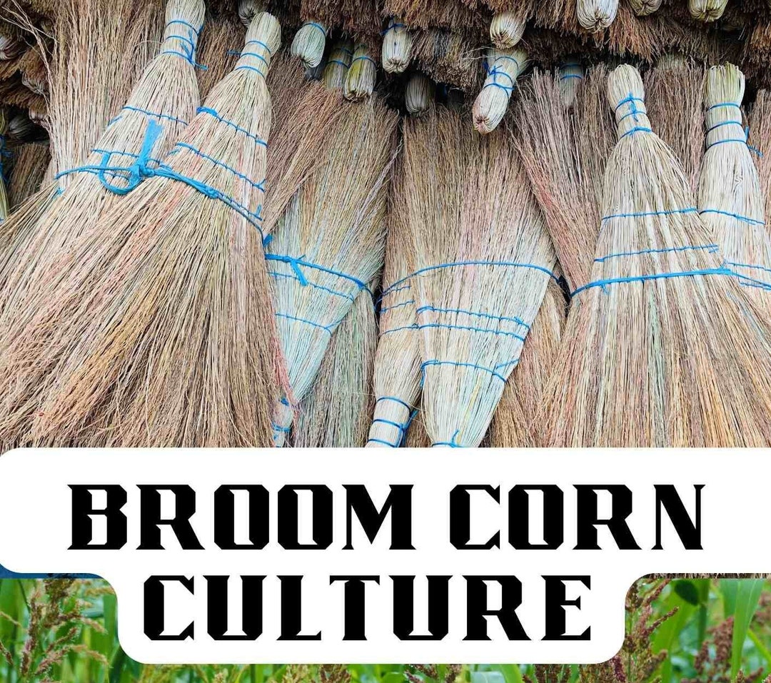 Broom-corn Culture (1912 Republication, PDF Electronic File ...