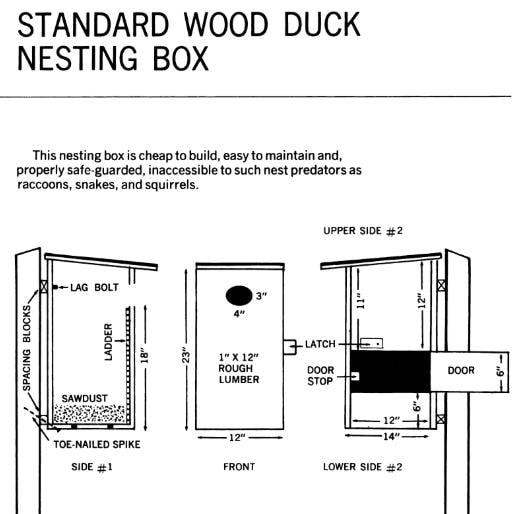 Wood Duck Nest Box Plans (PDF, 2 Plans, Instructions, Diagrams ...