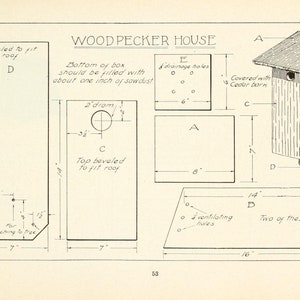 Bird House Building Plans, 18 Designs (PDF File, E-book) - Etsy