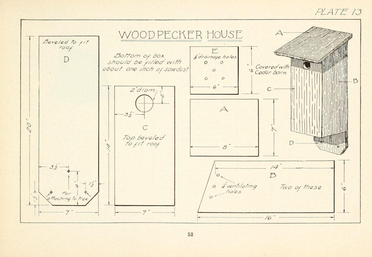 Bird House Building Plans, 18 Designs (PDF File, E-book) - Etsy