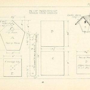 Bird House Building Plans, 18 Designs (PDF File, E-book) - Etsy