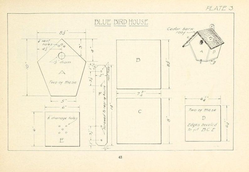 Bird House Building Plans, 18 Designs (PDF File, E-book) - Etsy