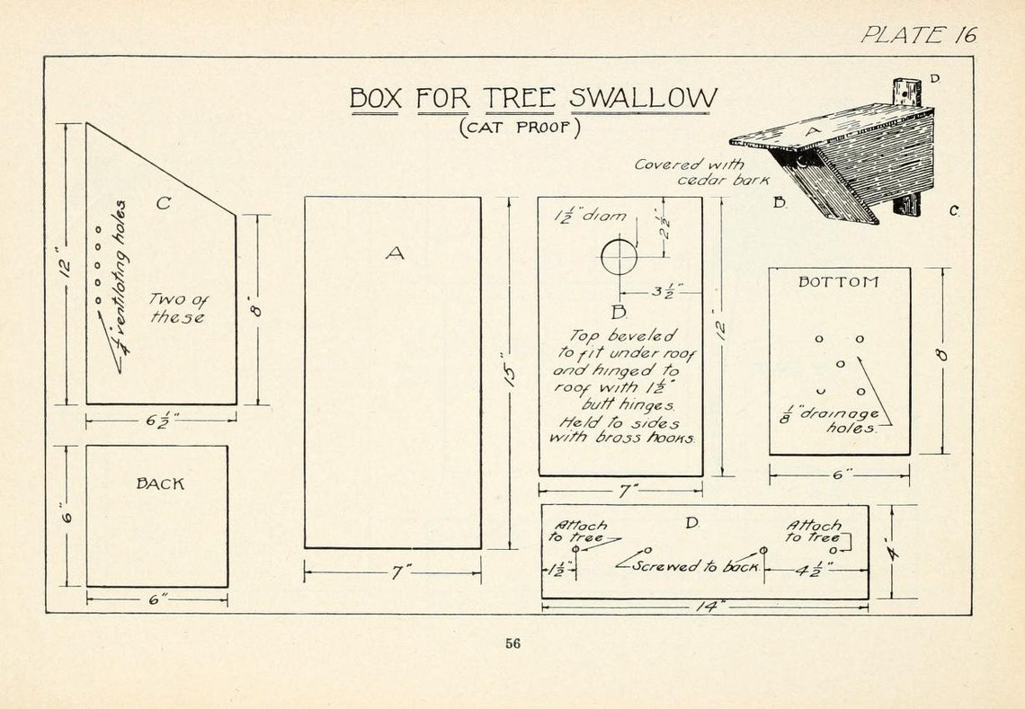 Bird House Building Plans, 18 Designs (PDF File, E-book) - Etsy