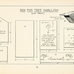 Bird House Building Plans, 18 Designs (PDF File, E-book) - Etsy