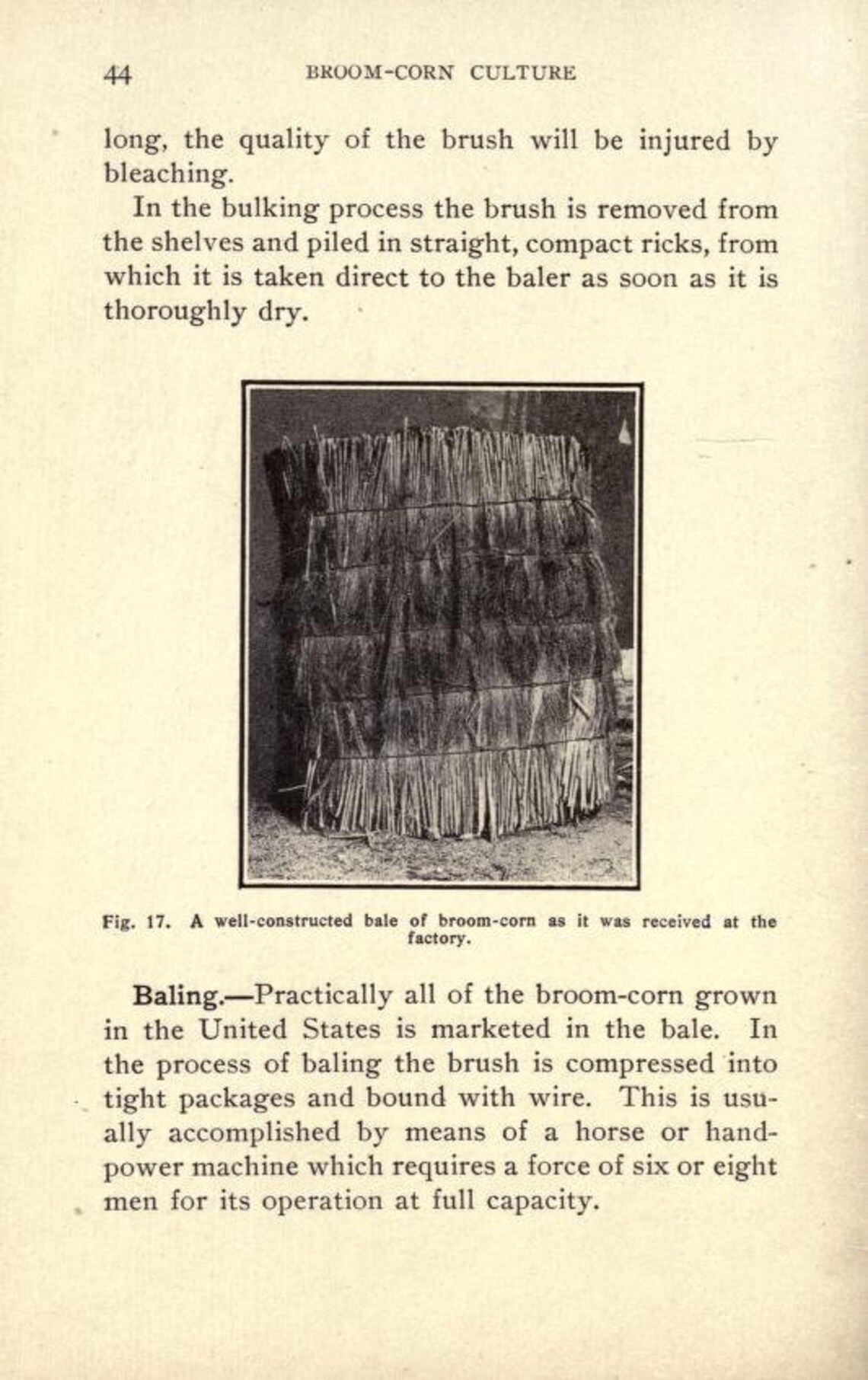 Broom-corn Culture (1912 Republication, PDF Electronic File ...