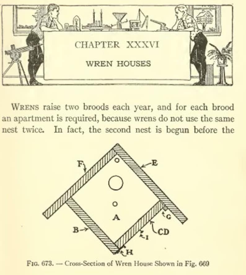 Classic Bird House Blueprints for Wrens, Robins, Woodpeckers, Bluebirds ...