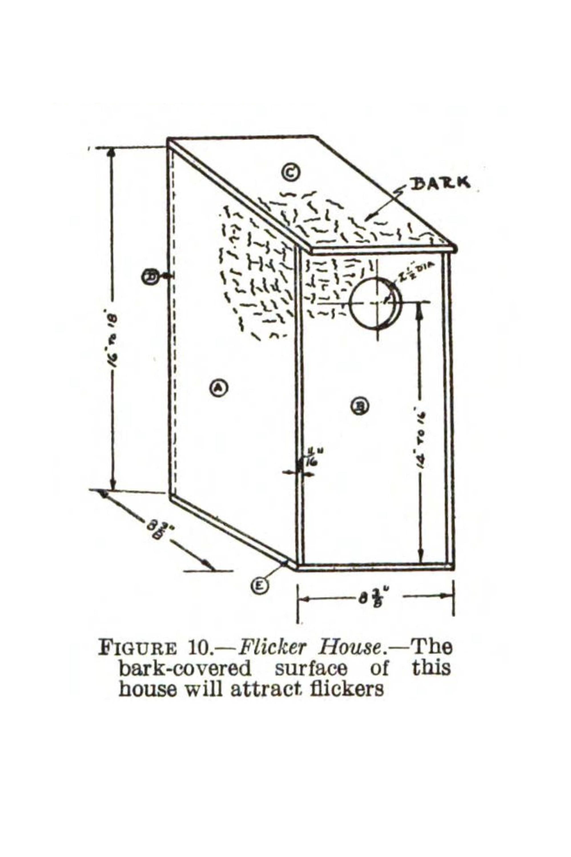 7 Vintage Birdhouse Plans (instant Download PDF, Chickadee, Bluebird ...