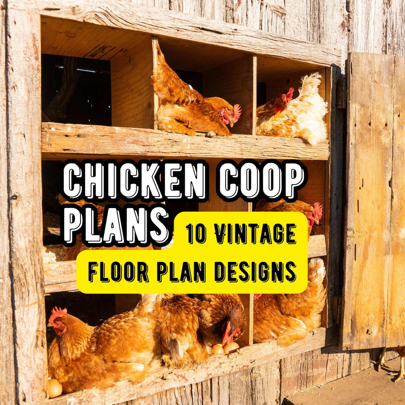 Vintage Chicken Coop Floor Plan Desings: 10 Designs (pdf Downloadable ...