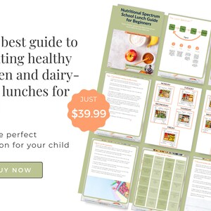 Back to School Lunch Box Ideas for Kids/100+ Lunches /dairy Free Food ...