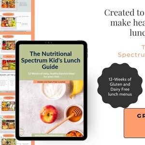 Back to School Lunch Box Ideas for Kids/vegan Lunches/dairy Free Food/printable Shopping List ...
