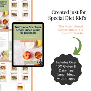 Back to School Lunch Box Ideas for Kids/100+ Lunches /dairy Free Food ...