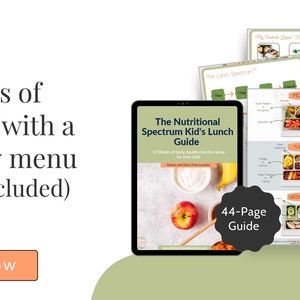 Back to School Lunch Box Ideas for Kids/vegan Lunches/dairy Free Food ...