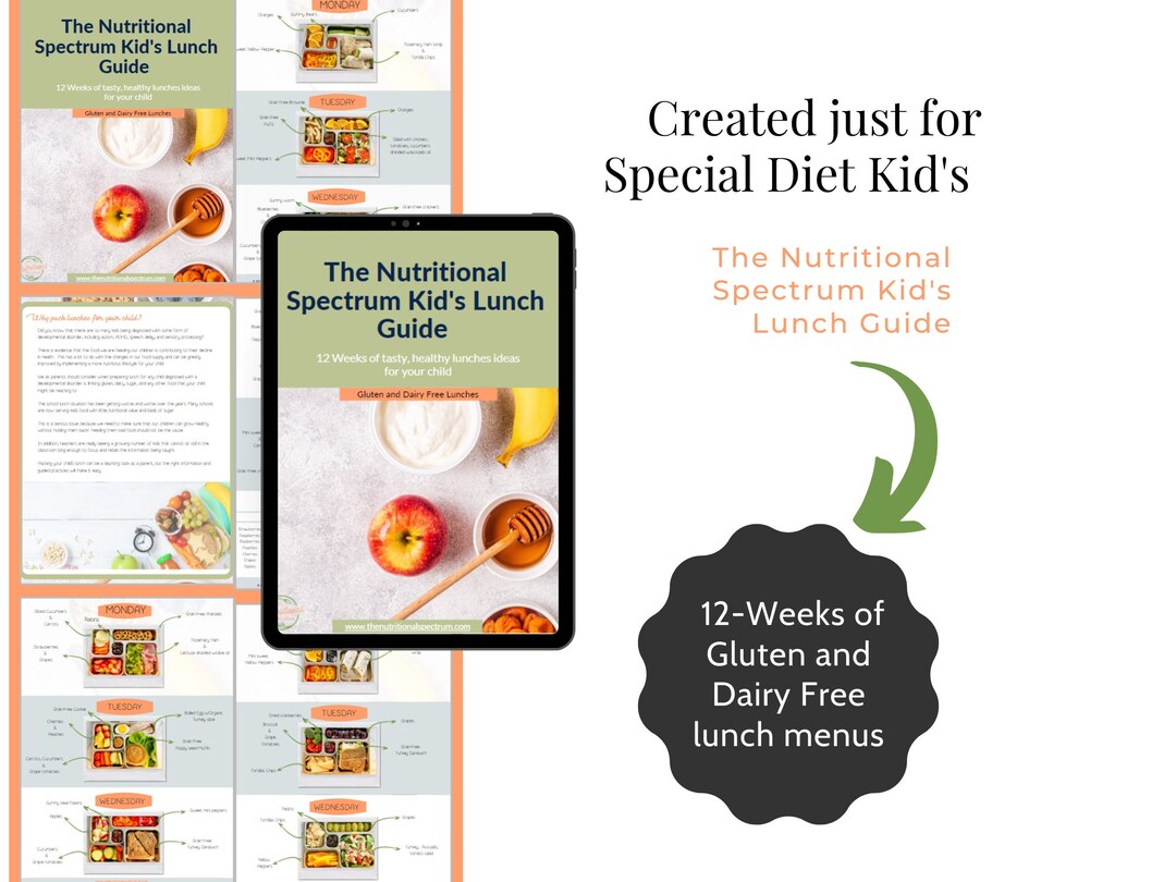 Back to School Lunch Box Ideas for Kids/vegan Lunches/dairy Free Food ...