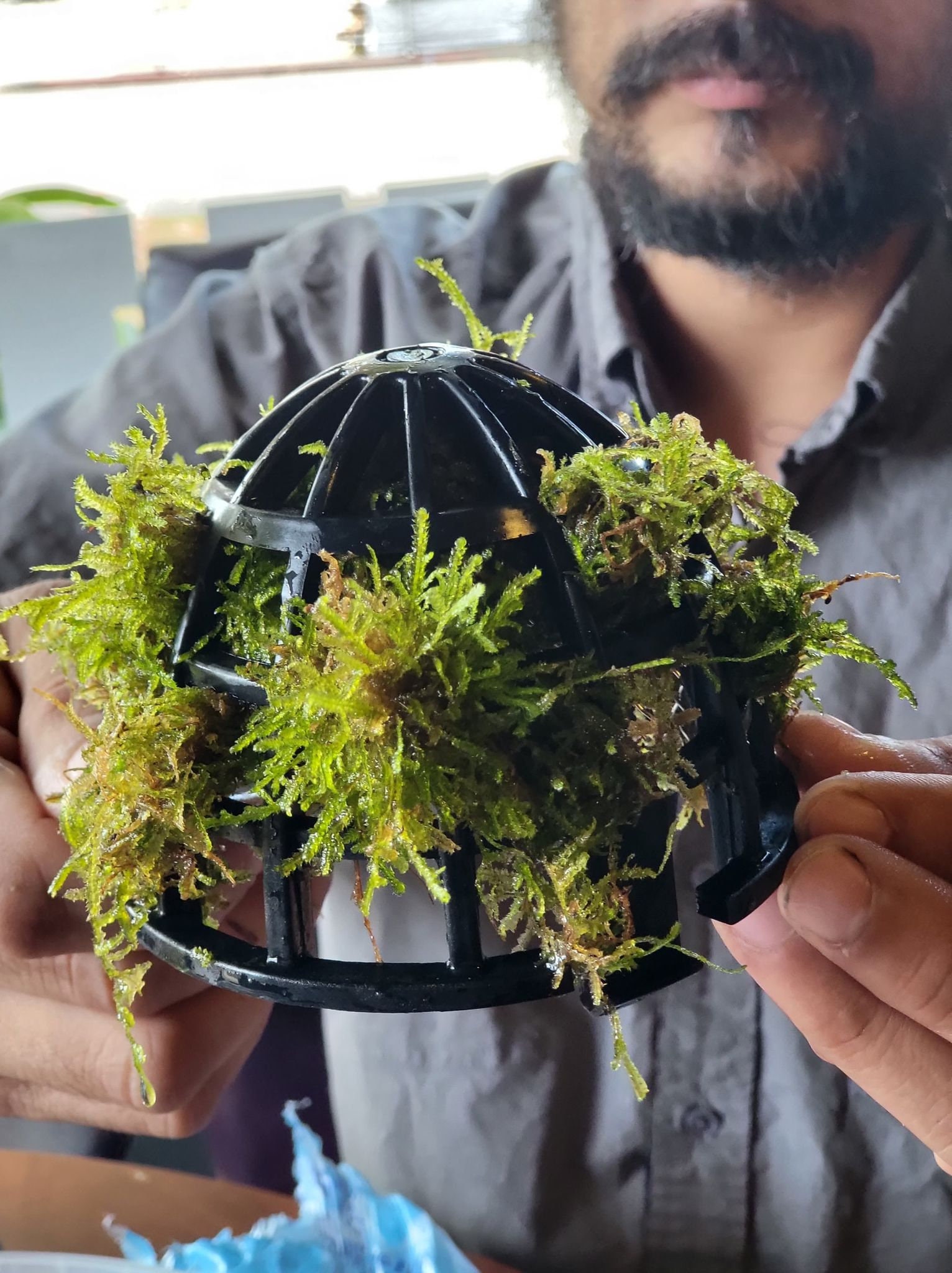 Frimp Cage 1-piece - Etsy