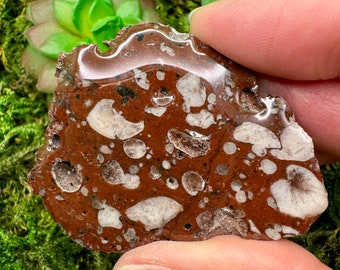 Mock Blue Lightning Stone Half Cut and Resin Enhanced - Etsy