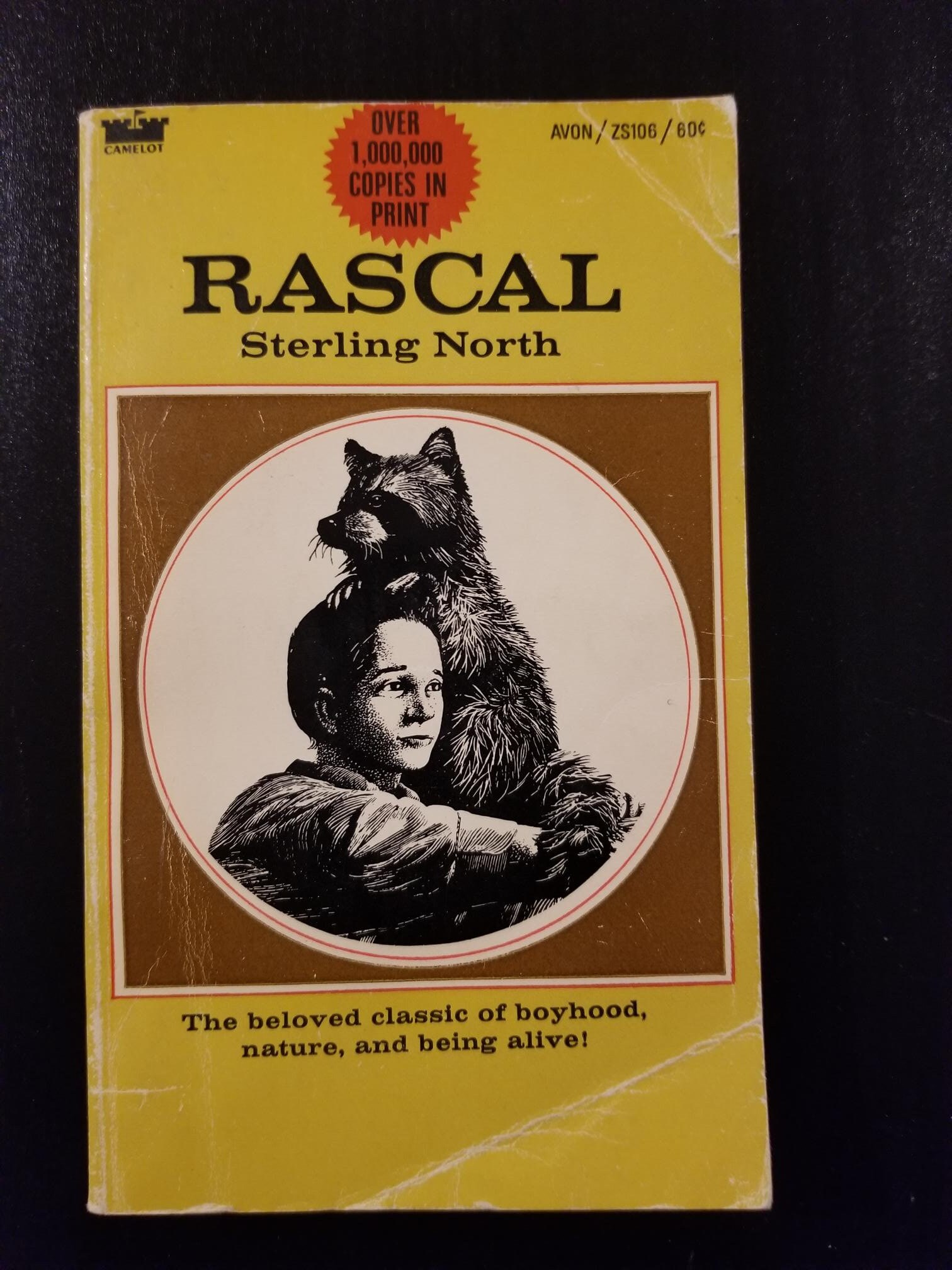 Rascal Book