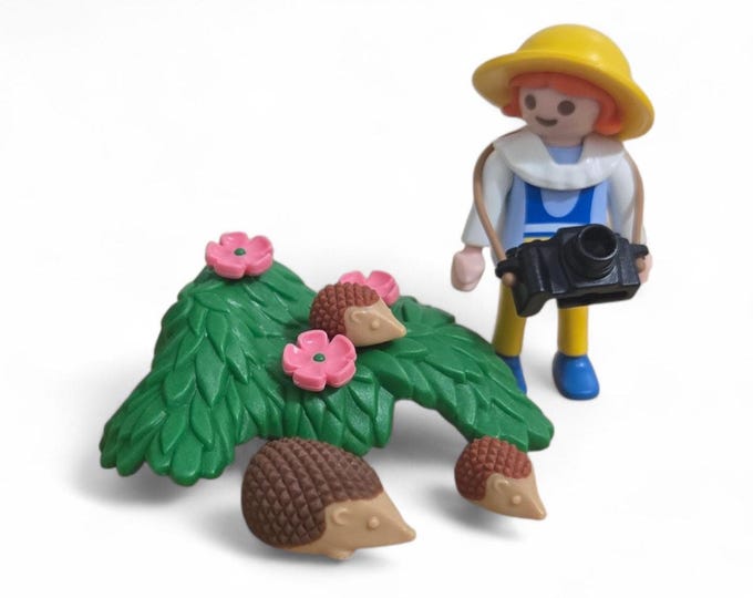 Playmobil Special – Girl Photographer & Hedgehog Family Set #3008 ...