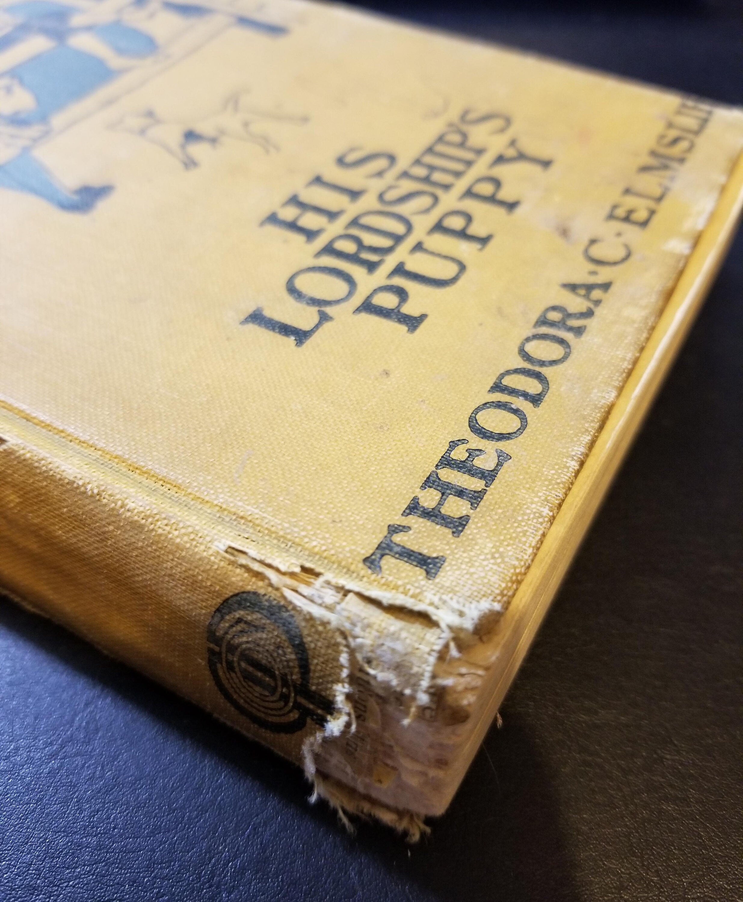 His Lordship's Puppy 1900 Vintage Book - Etsy