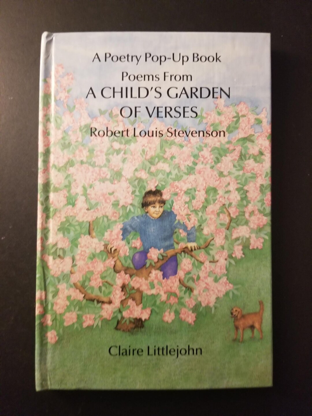 A Child's Garden of Verses, A Poetry Pop up Book - Vintage Book - Etsy