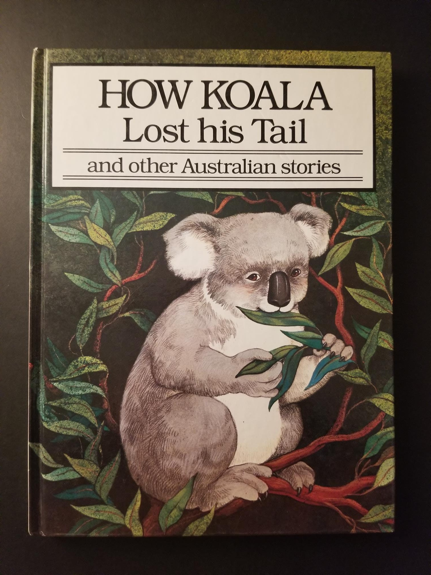 Koala Tail