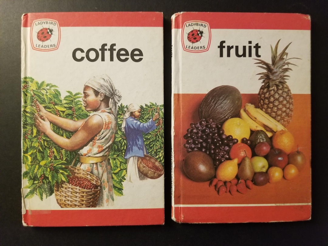 Ladybird Books Set of 2 1980's Vintage Book - Etsy