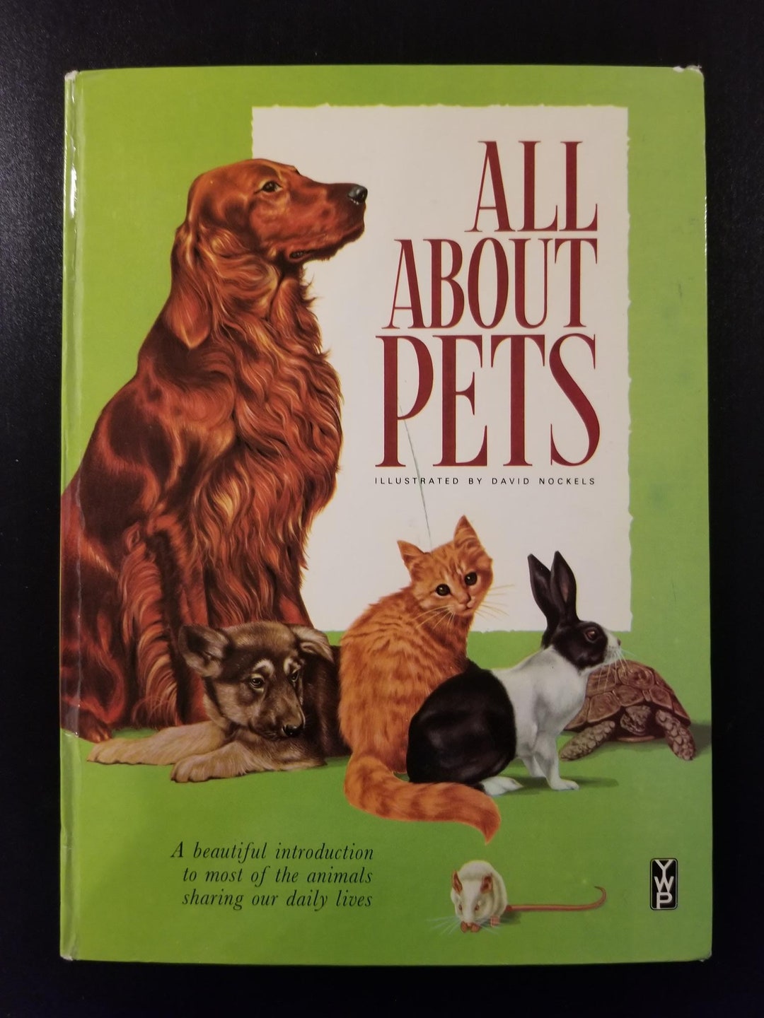 All About Pets Vintage Book - Etsy
