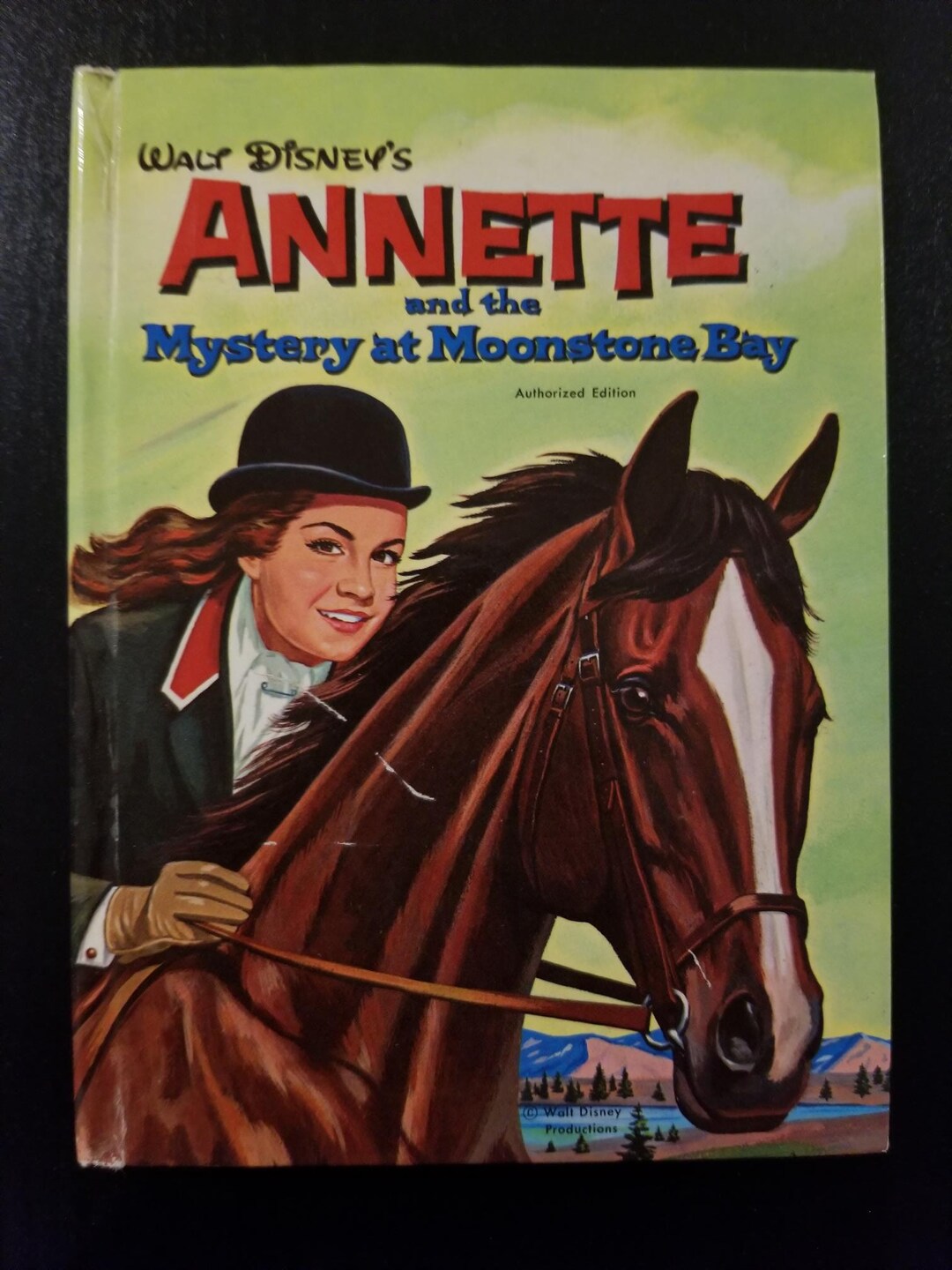 Vintage Book Annette and the Mystery at Moonstone Bay - Etsy