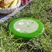 Paw Print Frisbee Fun Outdoor Toy for Dog Lovers Summer Picnic Game Eco ...