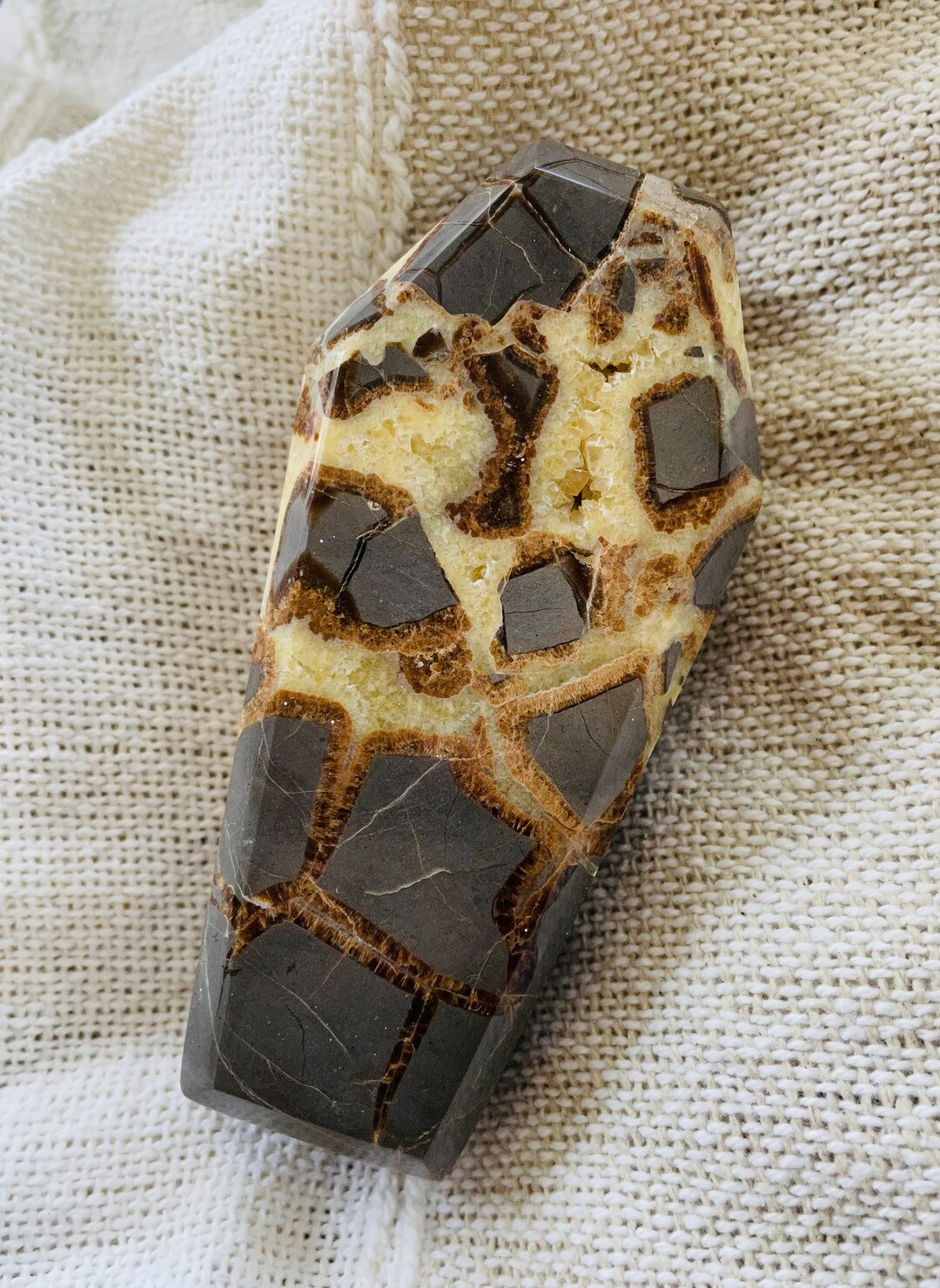 Septarian Dragon Stone Coffin - Etsy