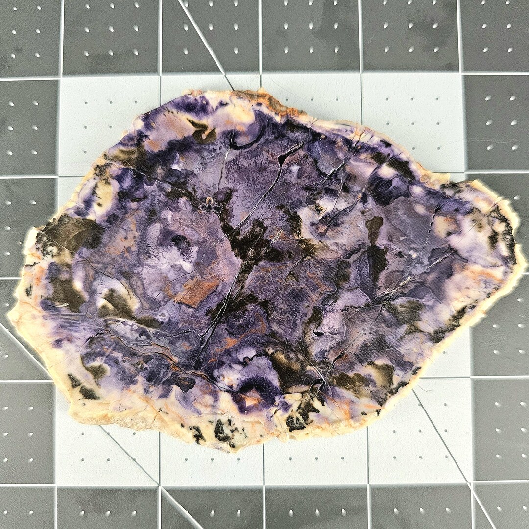 Tiffany Stone Slab little Nemo Claim - Etsy