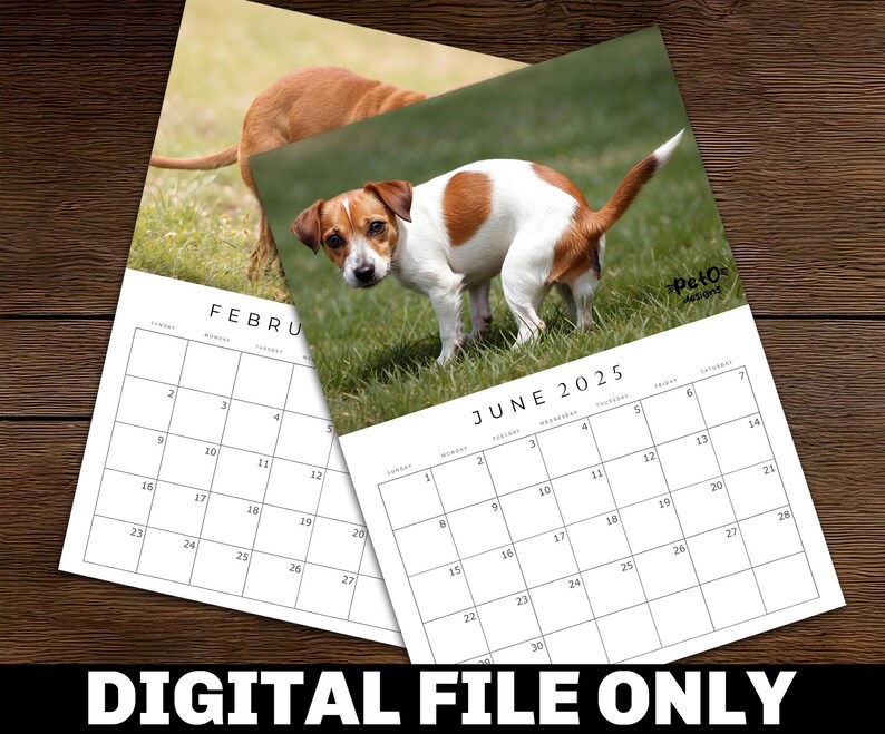 Pooping Dogs Calendar 2025 Funny Dog Printable Calendar Humor Calendar ...