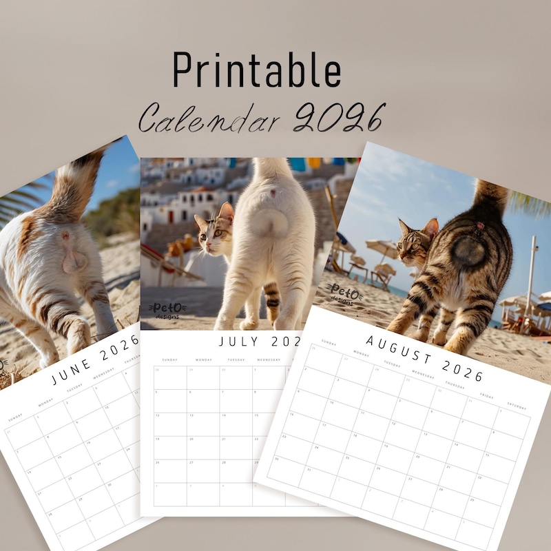 2026 Cat Calendar - Etsy