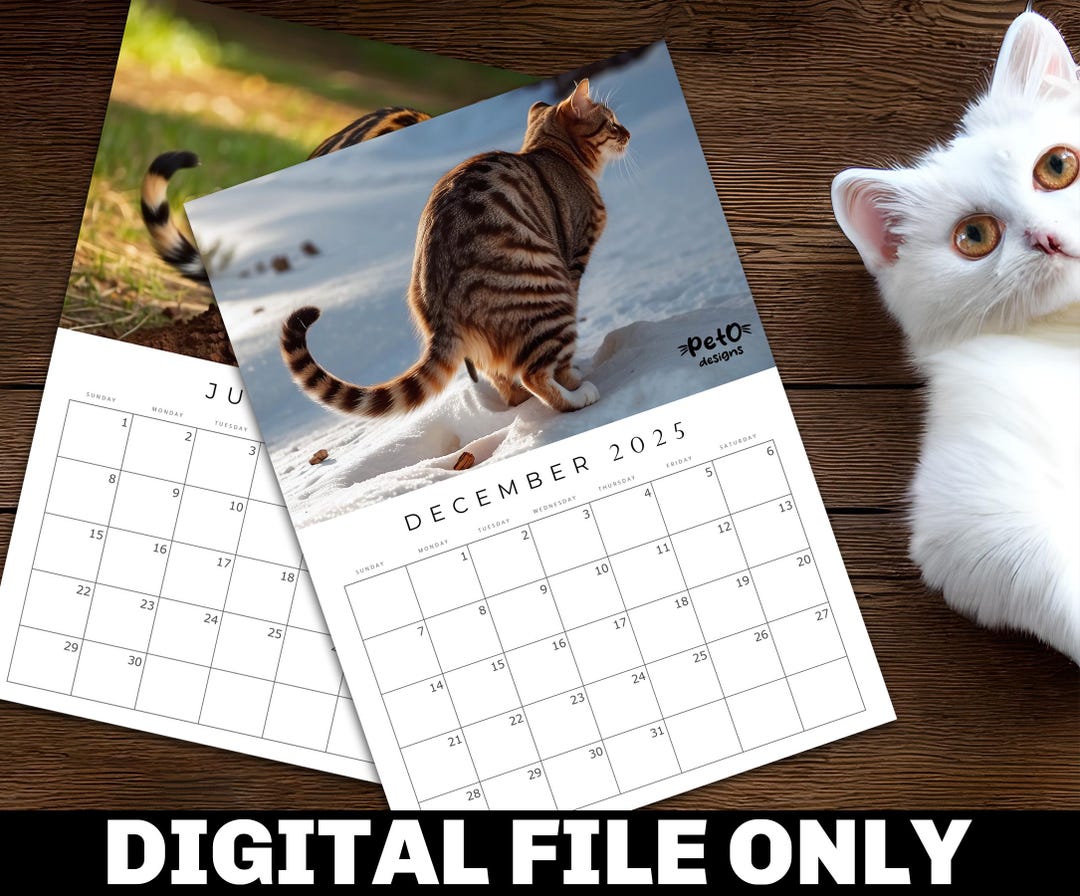 Pooping Cats Calendar 2025 Funny Cat Calendar for Cat Lovers With Humor ...