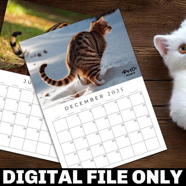 Cat Calendars 2025 - Etsy