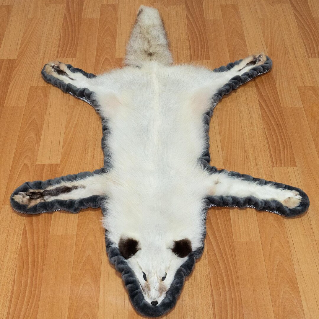 Taxidermy Rug Arctic Fox Fur Real Stuffed Mount Mammal New Carpet Home ...