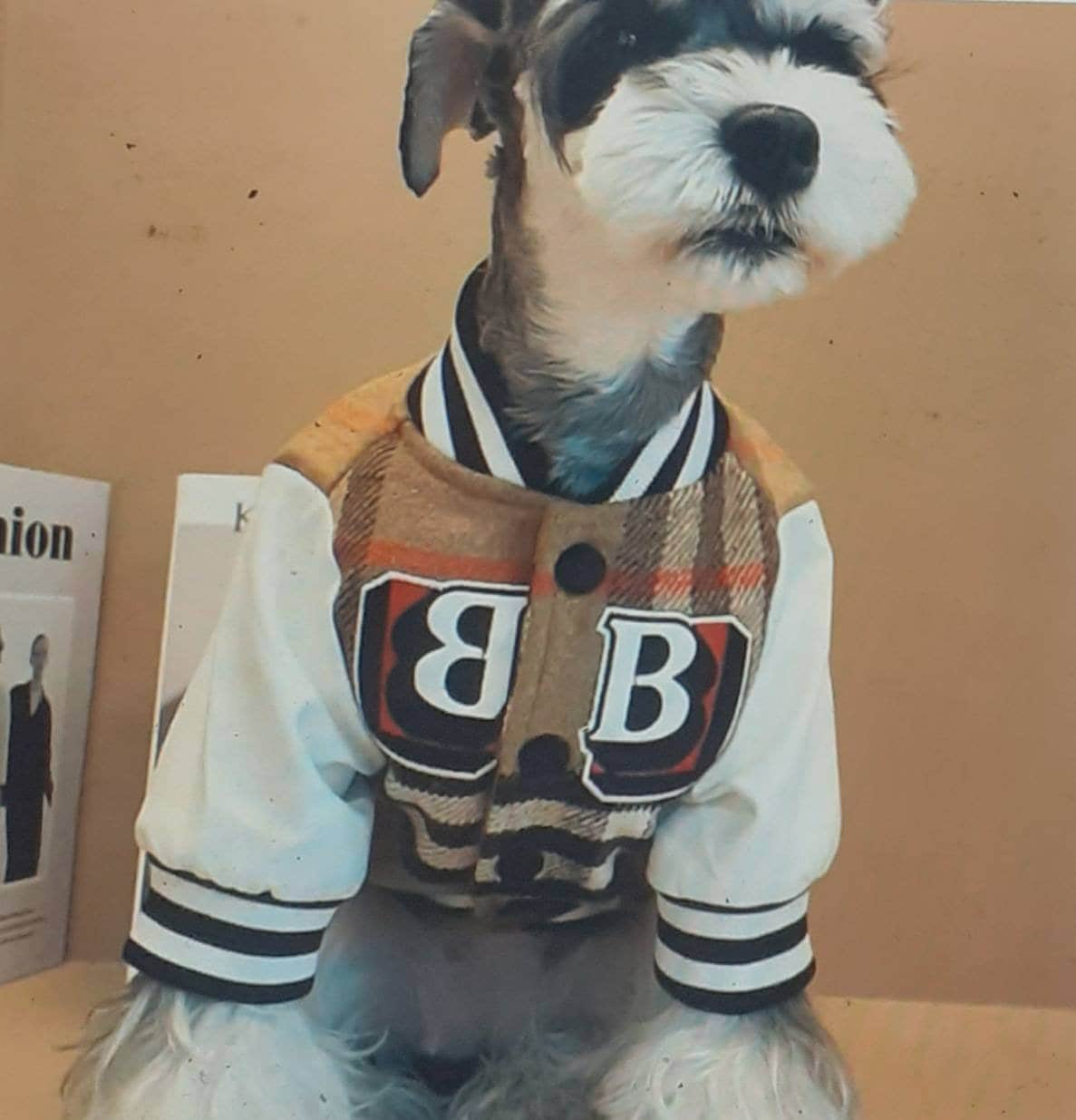 Dog Leather Coat. Puppy Leather Jacket. Leather Biker Jackets for Dogs ...