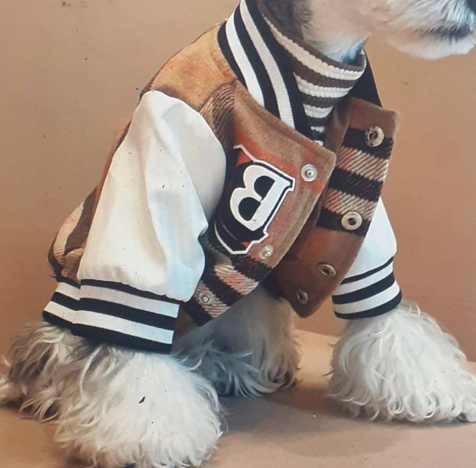 Dog Leather Coat. Puppy Leather Jacket. Leather Biker Jackets for Dogs ...
