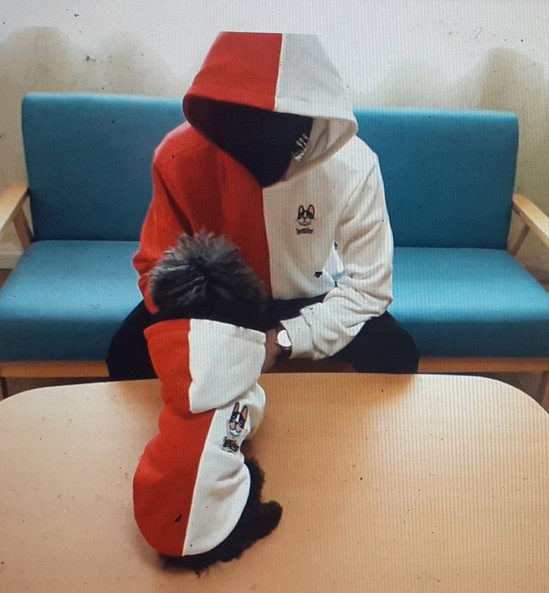 Dog and Owner Matching Outfits. Pet Clothes. Dog Jumper. Matching ...