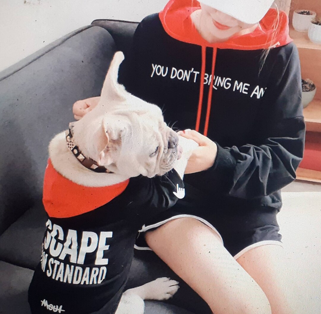 Parent and Dog Matching Outfits. Pet and Owner Matching Jumpers. Pet ...