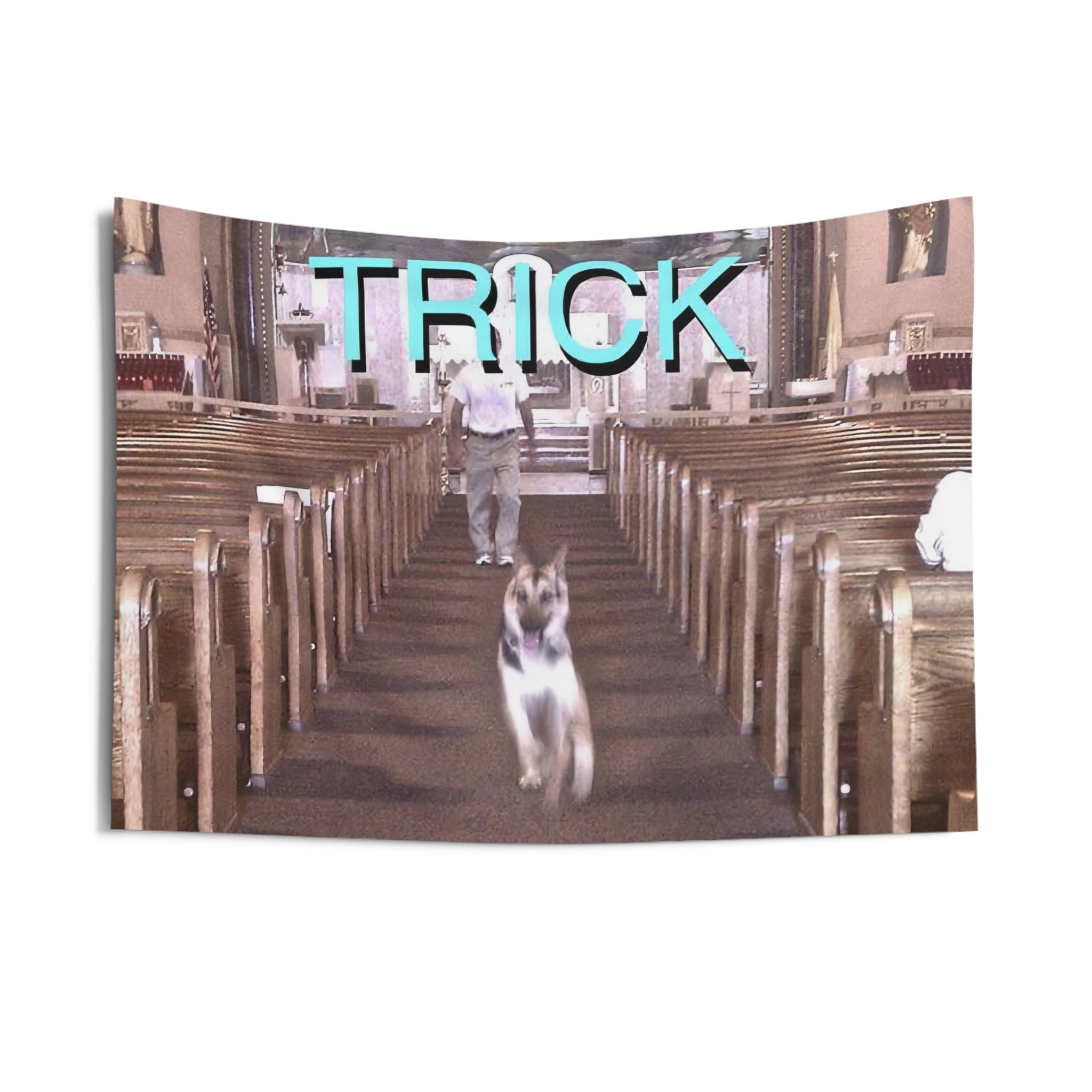 Alex G Trick Album Cover Tapestry Banner Alex G Merch - Etsy