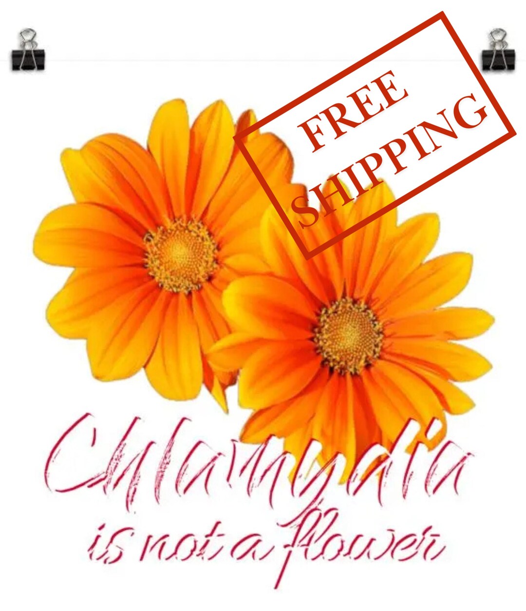 Chlamydia is Not A Flower. Sex Education. If Life Gives You Lemons Be ...