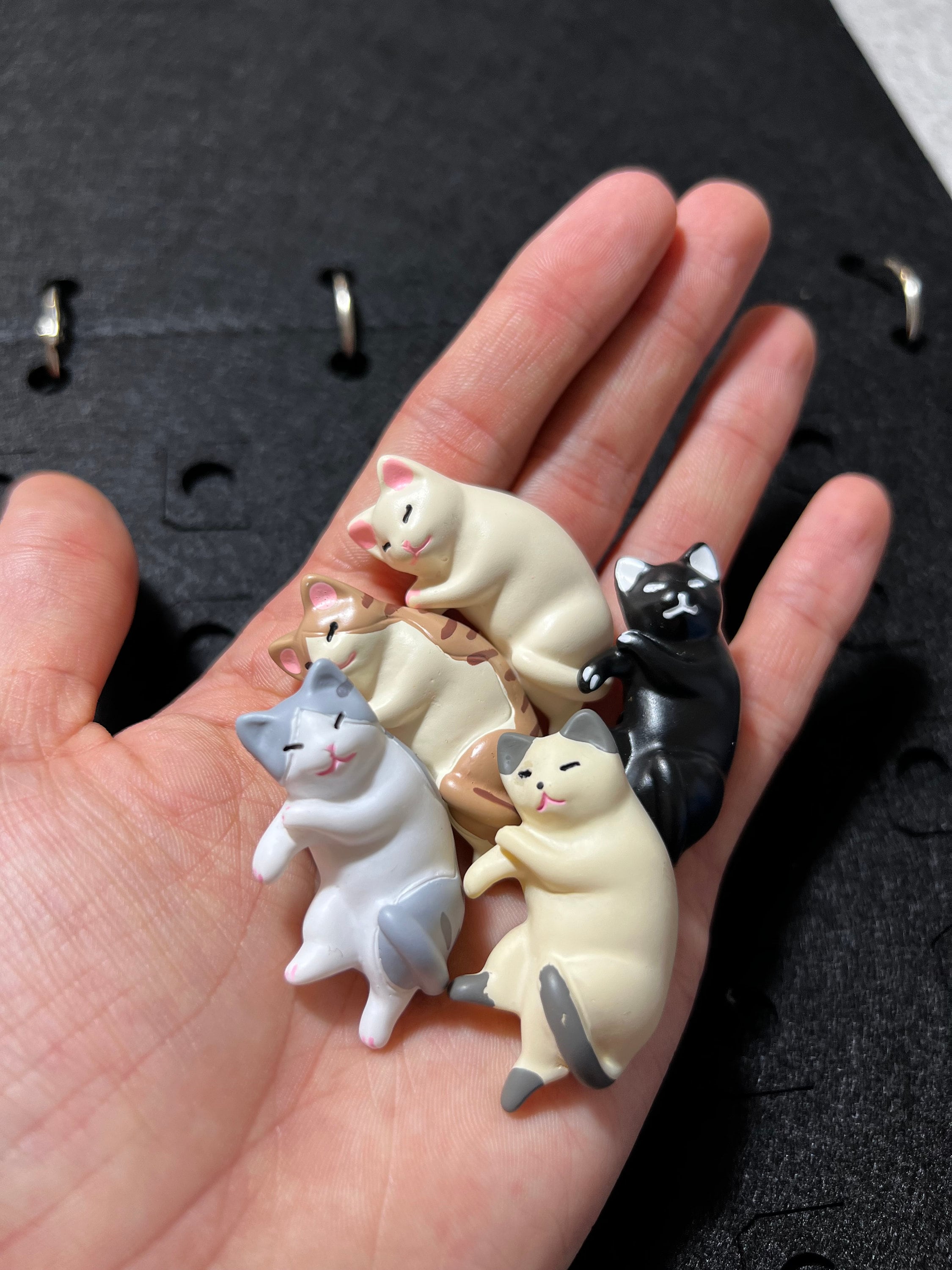 5pcs/set Kawaii Cat Croc Charms, Cute Cat Shoe Charms, Lovely Cat Resin ...