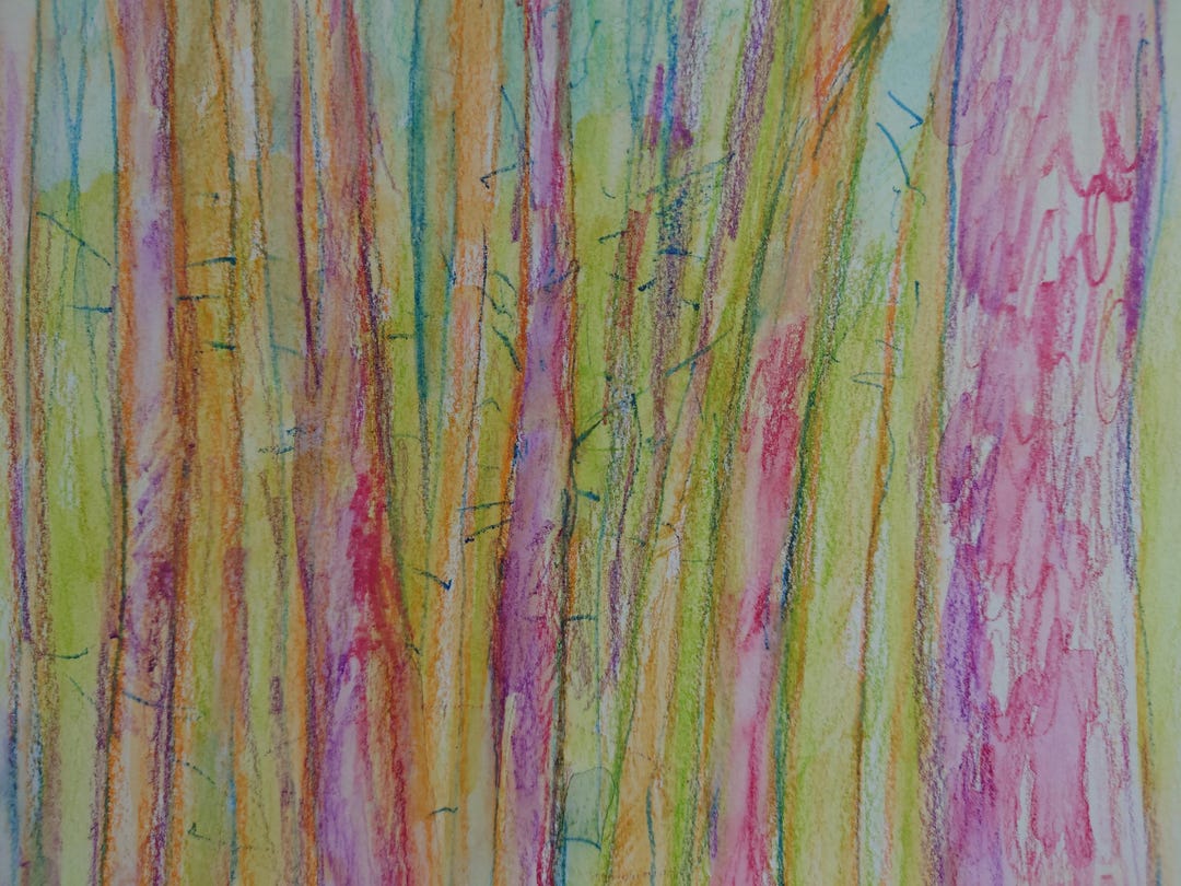 Original Colored Pencil Drawing, Trees in the Forest - Etsy