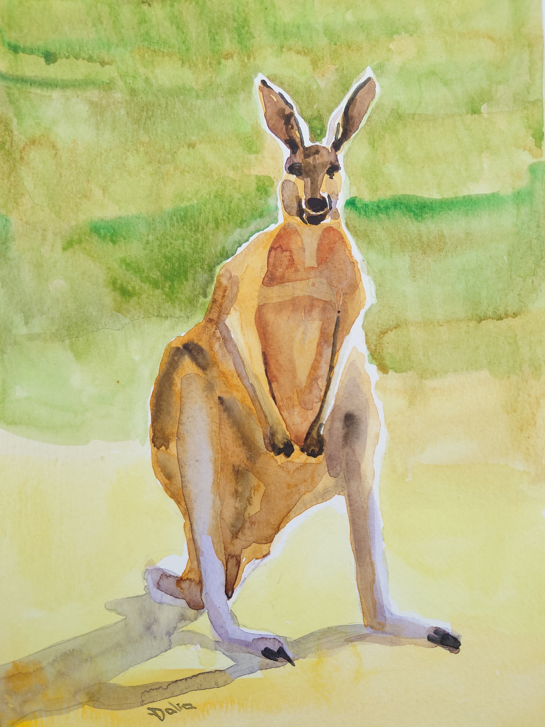 Kangaroo Painting