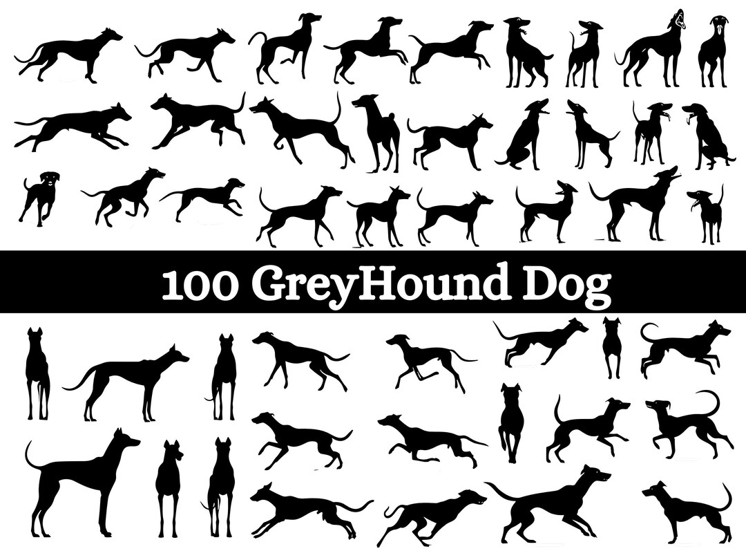 Greyhound Svg Bundle, Svg Files for Cricut, Dog Race SVG, Greyhound ...