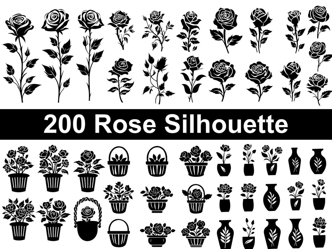Rose Svg Bundle Roses Svg Bundle Rose Clipart Bundle Rose Svg Cut