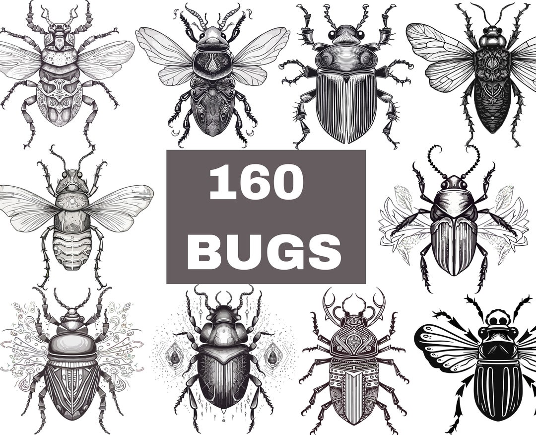 Bugs SVG, Insects SVG, Bugs Outline Clipart, Beetle Svg, Line Art Svg ...